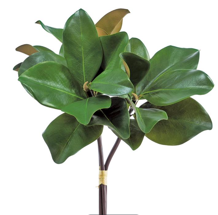 MAGNOLIA LEAF BUNDLE – Sweet Home Design Company